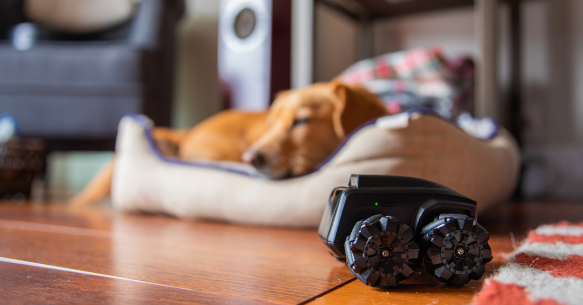 From Security to Entertainment: How Moorebot Scout Fits into Your Smar